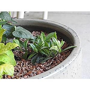 Hazel Shell Chips - Mulch Amendment Product - 10 lbs.(Hazelnut Shells)