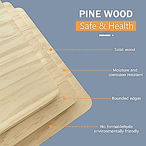 PETKABOO Cat Wall Furniture, Cat Wall Shelves, Floating Cat Wood Climb Furniture, Cat Wall-Mounted Playing Climber, 2 Cat Houses & 4 Cat Shelves & 2 Ladders & 1 Cat Scratching Post