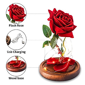 AGGUT Beauty and The Beast Rose,Forever Rose,Artificial Flower Gift Romantic Red Silk Rose,Flower in Glass Dome Women Gifts for Her,Wife,Mom,Valentines,Anniversary