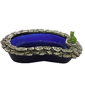 Fiddlehead Fairy Garden Pollywog Frog Pond #16882