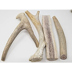 Big Dog Antler Chews - One Pound Pack of Sun-Aged Deer and Elk Antler Dog Bone Chews - Natural Healthy Long-Lasting Treat