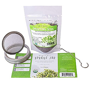 Organic Broccoli Sprout Growing Kit - Includes 316 Stainless Steel Sprouting Lid, Sprout Stand, and Organic Non-GMO Broccoli Sprouts Seeds - Complete Broccoli Sprout Kit by Handy Pantry & Trellis + Co