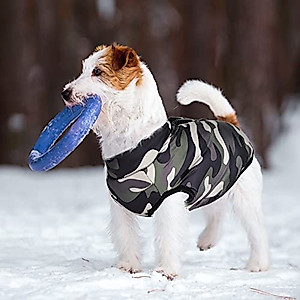 Dog Winter Jacket with Leash Hook Fleece Dog Coats for Small Medium Dogs Cold Weather Puppy Clothes Outfit Apparel Windproof Color Stitching Cotton Pet Vest Clothing for Cats (Green 3, X-Small)