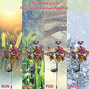 IGRARK Solar Lights Outdoor Garden Butterfly Lights Decorative Solar Stake Lights with Butterflies 2 Pack Decor Powered Waterproof for Garden Yard Pathway