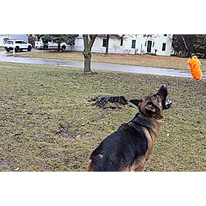 Jalousie Collapsible Dog Flirt Pole with Three Squeaky Toys Plush Toys Dog Teaser Wand Chase it Dog Toy with Refills (Dog Flirt Pole w/ Three Toys) - Upgraded Rope