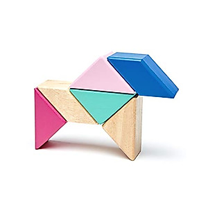6 Piece Tegu Pocket Pouch Prism Magnetic Wooden Block Set, Blossom