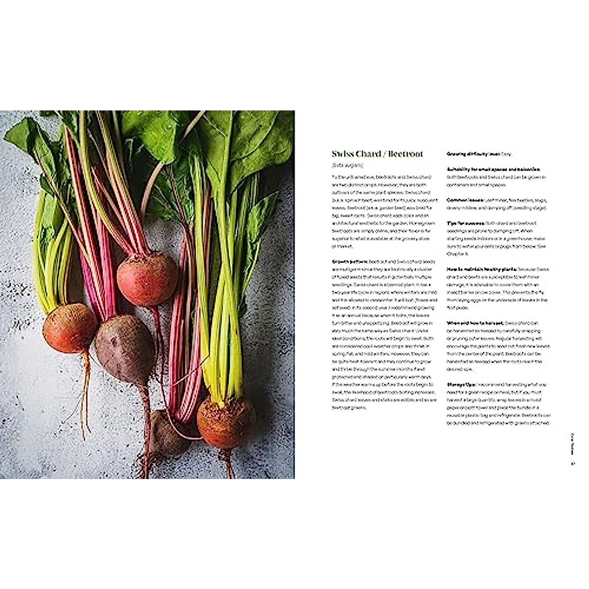 Seed to Table: A Seasonal Guide to Organically Growing, Cooking, and Preserving Food at Home (Kitchen Garden, Urban Gardening)