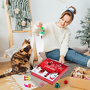 Cat Advent Calendar 2024, Christmas Countdown Calendar for Kitten with 24pcs Assorted Cat Christmas Toys Variety Pack Kitten Interactive Play Xmas Gifts