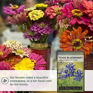 Sow Right Seeds - Texas Bluebonnet Seeds to Plant - Full Instructions for Planting and Growing a Beautiful Flower Garden; Non-GMO Heirloom Seeds; Wonderful Gardening Gift (1)