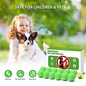 MAGIC CAT Cat Repellent Outdoor, 12 Pack Peppermint Oil Cat Deterrent Indoor for Home to Protect Furniture Curtain Pet Family Safe, Dog Repellent to Keep Feral Cats Stray Dogs Out of Yard Garden Lawn