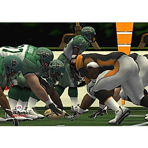 Arena Football: Road to Glory (Renewed)