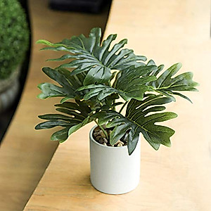 Briful Artificial Monstera Plant 13" Small Fake Plant in Ceramic Pot Potted Faux Plant Indoor for Home Bathroom Living Room Table Office Shelf Desk Decorations