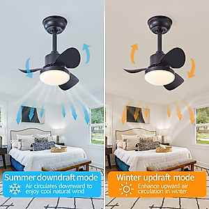 EMIKIRII Ceiling Fan with Lights and Remote,21'' Small Modern Ceiling Fan,Smart APP Control,Dimmable Metal Blades Flush Mount Quiet Mini Ceiling Fans Lights for Kitchen Dining Room Bedroom