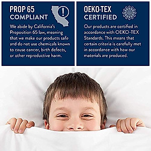 Fairpeak All Season Down Alternative Comforter, 1000-TC Oversize Queen Luxury Comforter 1-PC Hypoallergenic 100% Egyptian Cotton Comforter Hotel Quality Soft 600 GSM, Moss Solid (98"x98")