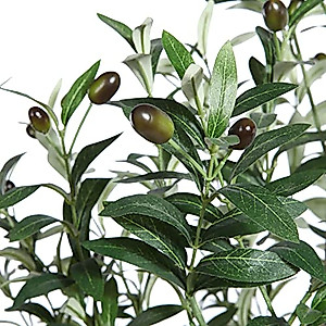 Dr.Planzen Artificial Olive Tree,5FT Tall Fake Plant Faux Olive Plants for Indoor,Natural Fake Tree,Artificial Silk Plants for Office Home Living Room Floor Patio Greening Porch Decor,Set of 1