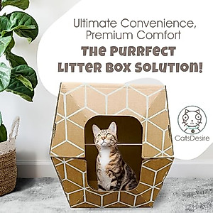 Cats Desire - 15 Trays, Disposable Litter Boxes for Cats - Litter Box, Fits Large Cats - Water Resistant Cat Litter Box - Made in USA, 19" L x17 W x 8.5" H - Enclosed Box