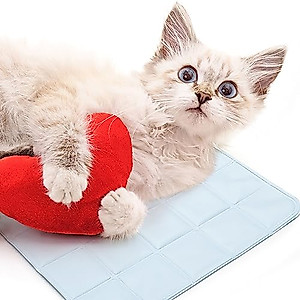 eYourlife2012 2 Pack Dog Cooling Mat Pet Self Cooling Pad Blanket Summer Dog Kennel Pet Ice Pad Sleeping Cool Mat Cooling Gel Pad for Dogs Cats Sleeping Mat Dirt-Resistant Cool Feeling Ice Nest