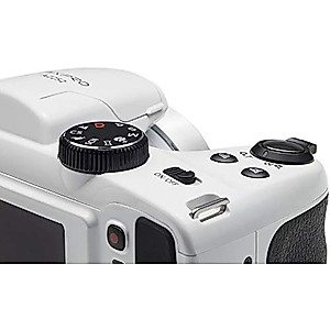 KODAK PIXPRO AZ252 Astro Zoom Digital Camera (White) Bundle with 32GB Card, Case, Accessory kit, and Rechargeable Batteries