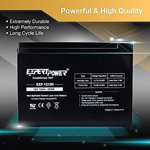 12v 10Ah SLA Rechargeable Battery - F2 Terminals