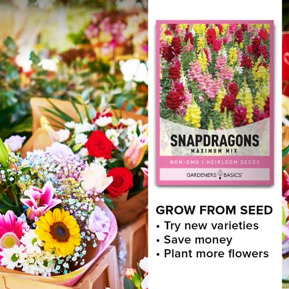 Snapdragon Seeds for Planting (Maximum Mix Snap Dragon) Annual Flower Heirloom, Non-GMO Variety- 400mg Seeds Great for Summer Seeds for Gardening Flowers Gardens by Gardeners Basics