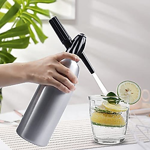 KOUPOURA Soda Siphon, Upgraded 1L Soda Water Siphon Portable Soda Maker Seltzer Water Maker Seltzer Siphon Bottle Kit for Home Bar Club Making Soda Water DIY Soda Drinks (Silver)