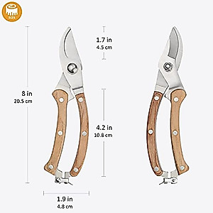 BUGUI Bypass Garden Pruning Shears - Premium SK-5 Steel Blade, Professional Garden Shears, Sharp Garden Scissors for Cutting Live Flowers, Trimming Plants, Light Branches, 8"