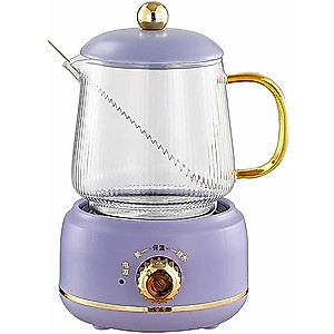 600ML Health Pot Household Multifunctional Glass Kettle Electric Tea Pot Hot Water Dispensers Electric Kettle Flower Teapot Automatic Electric Stew Bird's Nest Pot Stainless Steel B,600ML (Color : B