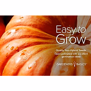 Pumpkin Seeds for Planting (Big Max) Heirloom, Non-GMO Vegetable Variety- 5 Grams Seeds Great for Summer Pumpkin Gardens by Gardeners Basics