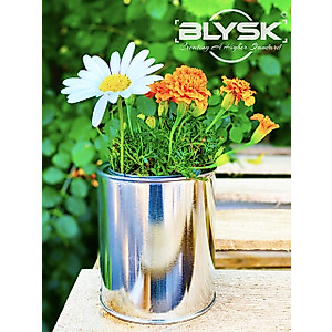 Blysk Empty Metal Quart Cans (2)