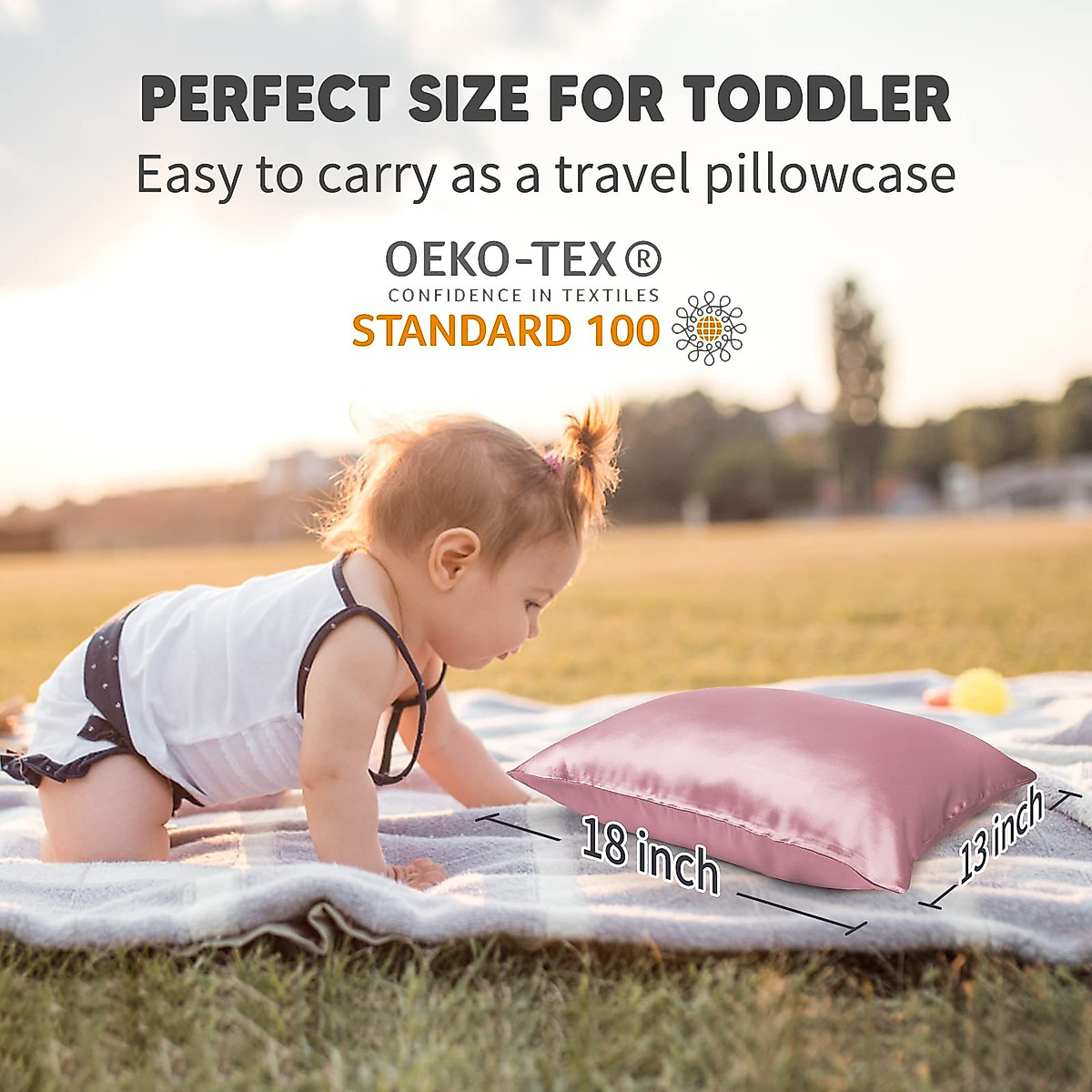 OLESILK 100% Mulberry Silk Toddler Pillowcase for Hair and Skin, Both Sides 19 Momme Pure Natural Silk Travel Pillow Cases with Hidden Zipper, 13"x 18", Light Plum