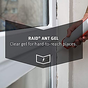 Raid Ant Gel 1.06 Ounce (Pack of 3)