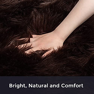 HYSEAS Faux Sheepskin Fur Area Rug Brown, 2x3 Feet, Fluffy Soft Fuzzy Plush Shaggy Carpet Throw Rug for Indoor Floor, Sofa, Chair, Bedroom, Living Room, Home Decoration