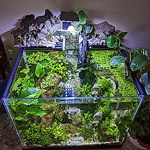 IC INSTANT COACH 10W Super Slim Aquarium Fish Tank 5730 LED Light Clip-on Lamp Aquatic Plant Lighting (Black Body White+Blue Light)