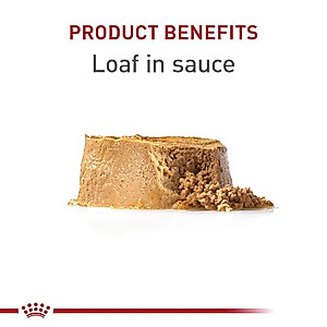 Royal Canin Canine Health Nutrition Puppy Loaf in Sauce Canned Dog Food, 5.2 oz Cans 12-pack