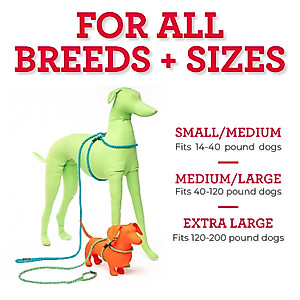 Harness Lead No Pull Dog Harness and Leash Set, Anti Pull Dog Harness for All Breeds and Sizes, One-Piece Cushioned Rope Design Safely Prevents Escaping and Pulling (Medium/Large, Blue/Multi)