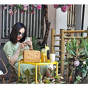 HAANCRAFTS HAAN Women Handwoven Wicker Rattan Crossbody Rectangle Bag Boho Purse Wallet – US Small, Color Brown (Rectangle Bag) Adjustable Strap