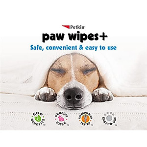Petkin Paw Wipes Plus, 200 Orange Scented Wipes, 2 Pack - Absorbent Pet Paw Wipes Remove Daily Dirt & Odors - Enriched with Paw Balm Protectant -Easy to Use Pet Wipes for Dogs, Cats, Puppies & Kittens