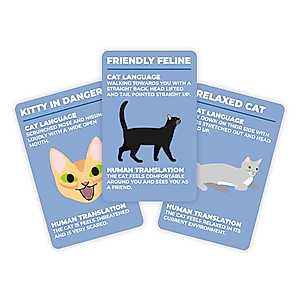 Gift Republic How To Speak Cat 100 Cards Fun Gift for Cat Lovers Learn What Your Kitten is Saying Cat Behaviour Guidance Cards Kitty Feline Language