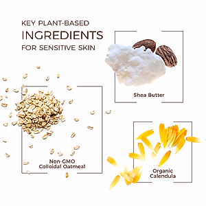 Babo Botanicals Sensitive Skin Hydra Therapy Lotion - Fragrance-Free - Shea Butter, Oat, Jojoba Oil - For body & face - For all ages - Vegan