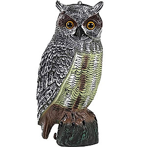 Galashield Owl Decoy | Plastic Owls to Scare Birds Away | Owl Statue for Garden & Outdoors