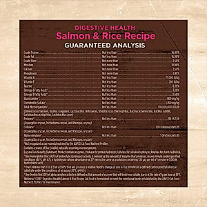 Wellness CORE Digestive Health Salmon & Rice Dry Cat Food, 5 Pound Bag