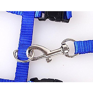 Gozier Pet Lead Leash Halter Harness Adjustable Safety Nylon Rope Strap Belt for Dog Cat Kitten (Blue)