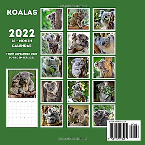 Koalas Calendar 2022: 16-Month Calendar, Cute Gift Idea For Koala Lovers Girls & Men