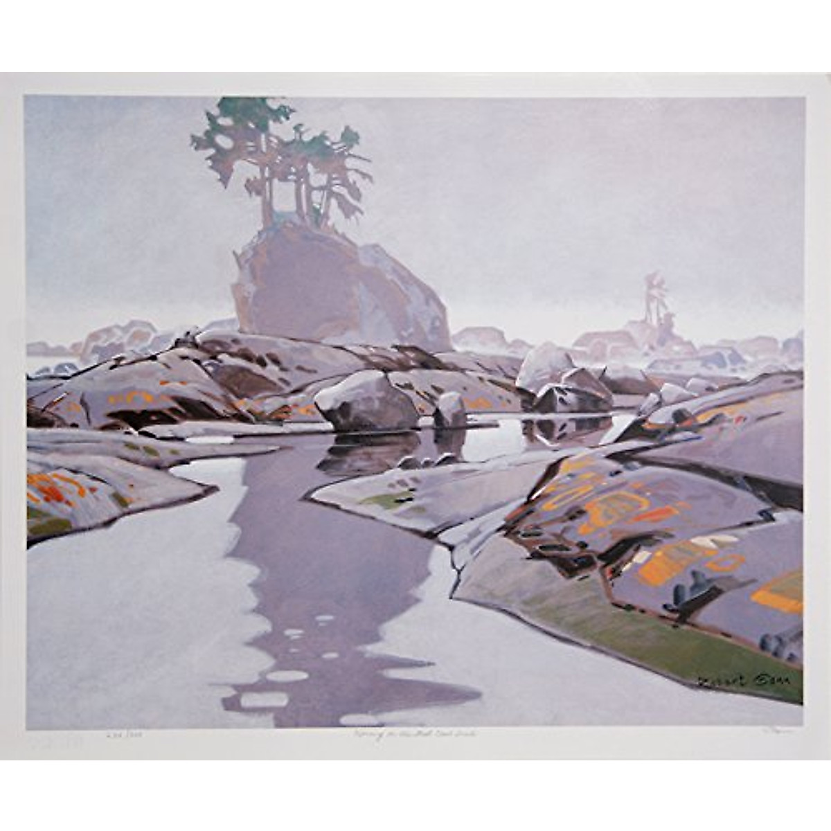 Morning on Westcoast Trail