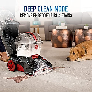 Hoover PowerScrub Elite Pet Upright Carpet Cleaner Machine, Lightweight, Deep Cleaning Carpet Shampooer Machine with Pet Tool and Storage Mat, Pair with Hoover Carpet Cleaner Solution