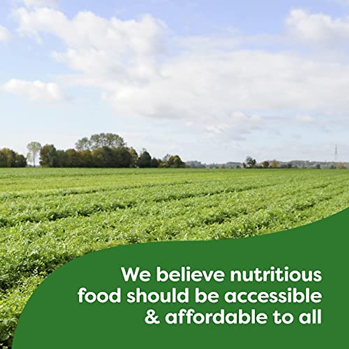 Knorr Pasta Side Dish, Chicken Broccoli, 4.2 oz (Pack of 8)