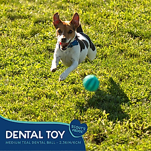 Good Scout Medium Rubber Dental Ball Dog Toy for Chewing, Best Dog Toy for Fetch, Chew Toy for Puppies & Adult Dogs, Dog Toy for Medium & Large Dogs with Rubber Teeth & Treat Storage,2.36-Inch(2-Pack)