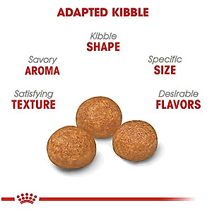 Royal Canin X-Small Adult Dry Dog Food, 2.5 lb bag