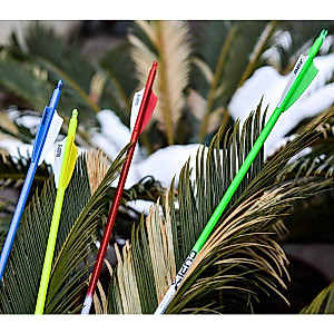 LWANO Carbon Arrow Archery 30inch Hunting Target Practice Arrows for Compound & Recurve Bow Spine 500 with Removable Tips (Pack of 12)(Green)