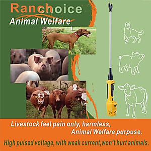 RANCH CHOICE Rechargeable Livestock Prod for Cows Electric Cattle Prod for Cow Dog prod Animal prod with Flexible Shaft (Total 43 INCH)